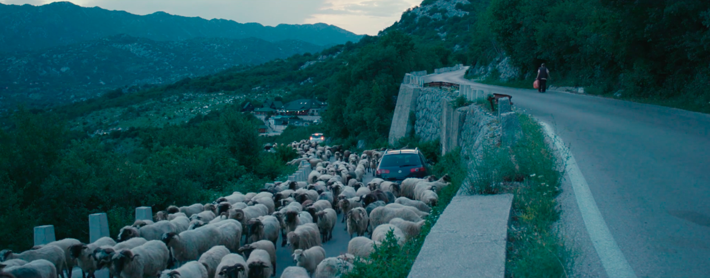 Projekti „Poslednji nomad“ i „Pionirska zakletva“ u programu ...